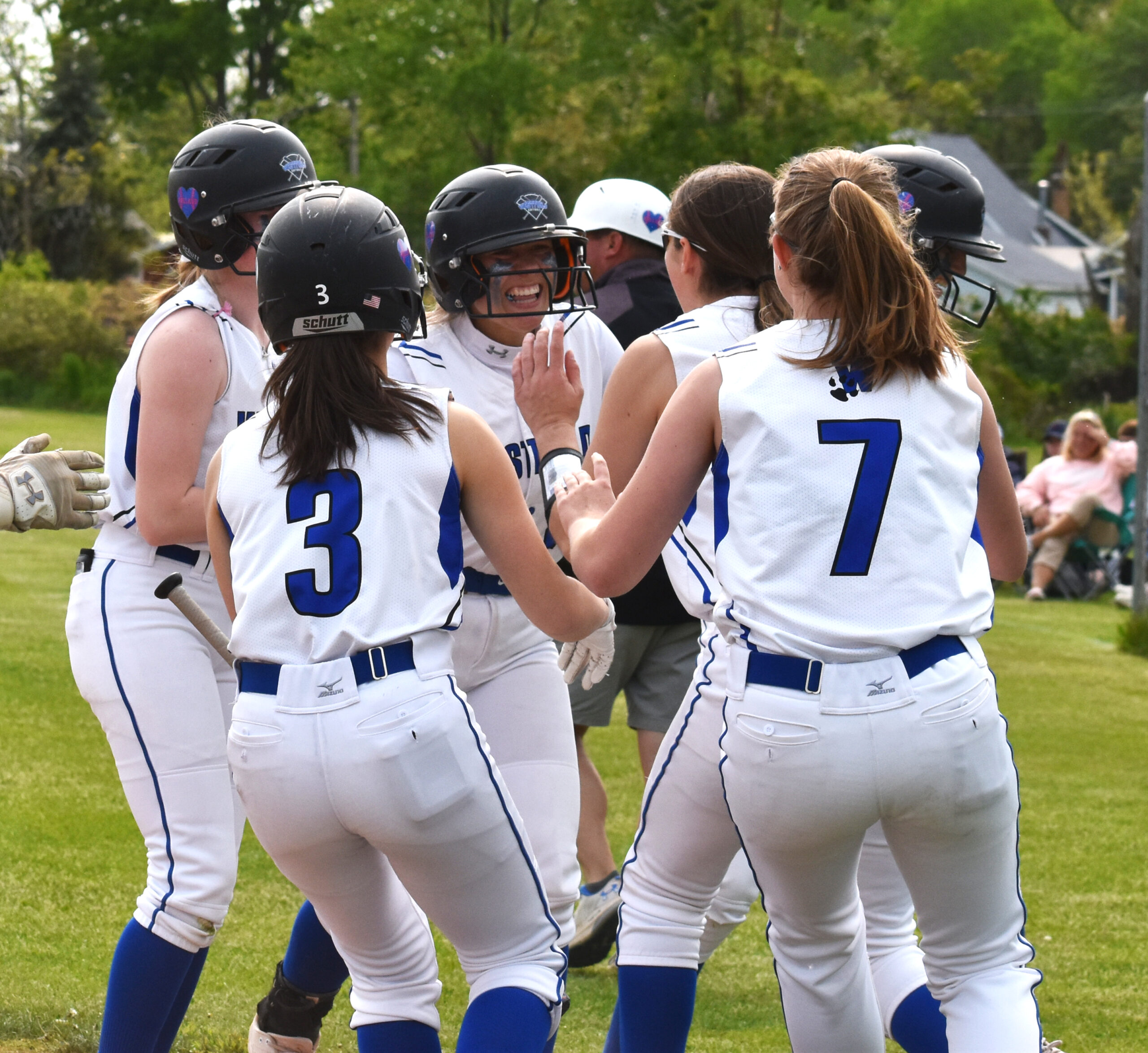 Westfield claims D2 West 2 title | News, Sports, Jobs - Observer Today